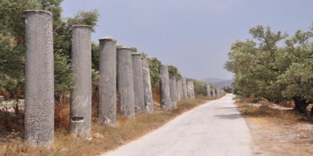 Archives des Samarie - Terre Promise